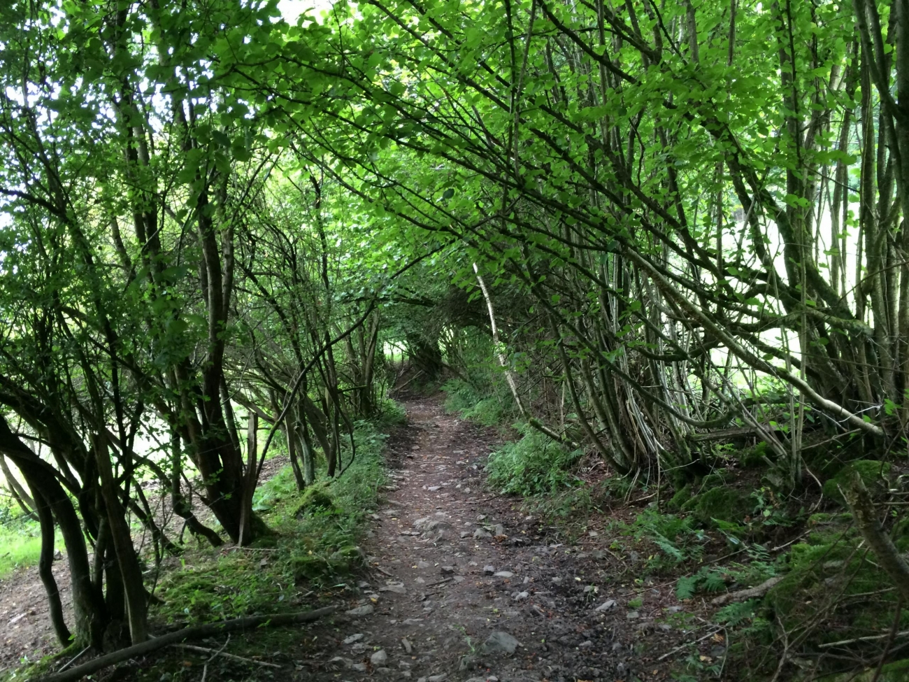 Galerie | Extratrail
